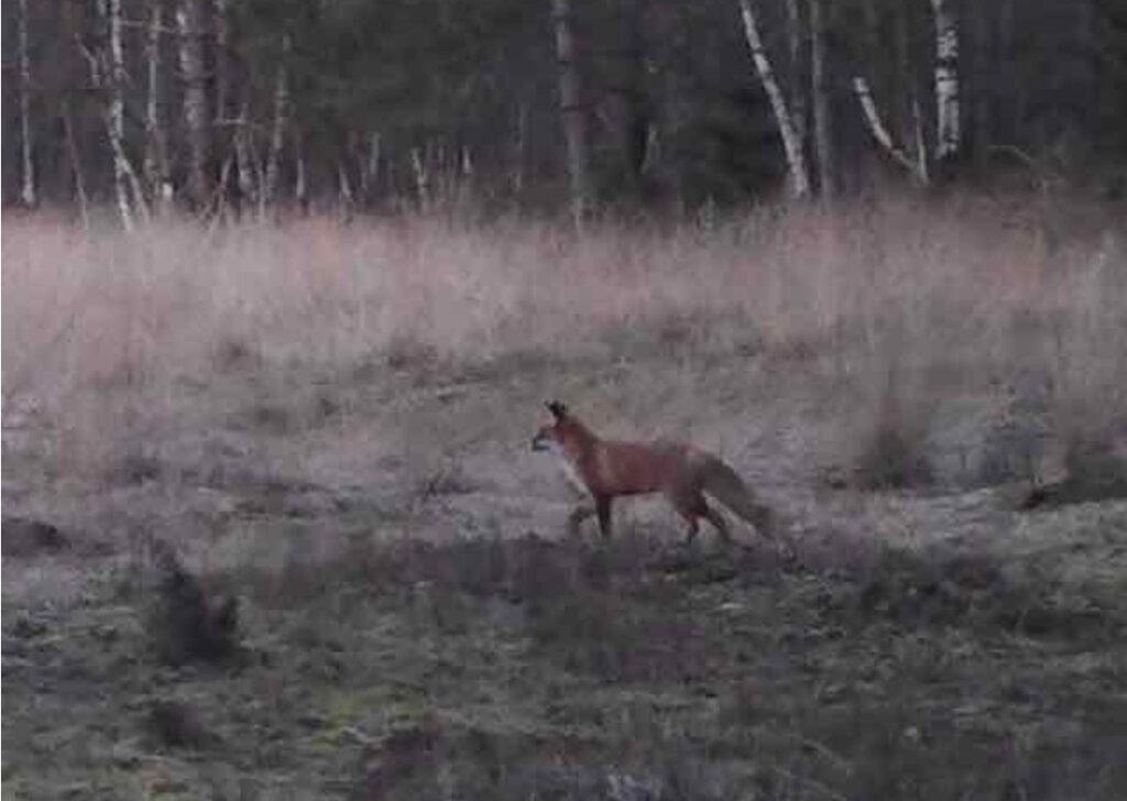 Ontstaan van de Veluwe